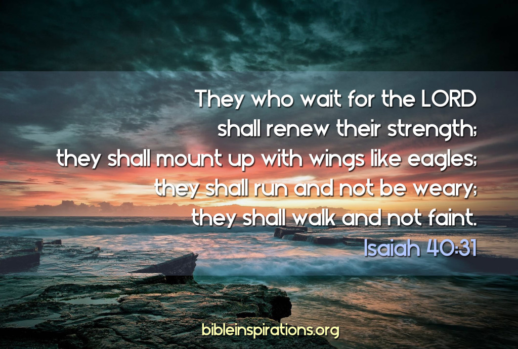 They Who Wait For The Lord Bible Inspirations They Who Wait For The Lord Bible Inspirations