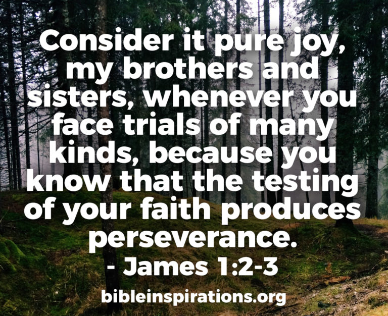 Consider it Pure Joy, My Brothers and Sisters, Whenever You Face Trials ...